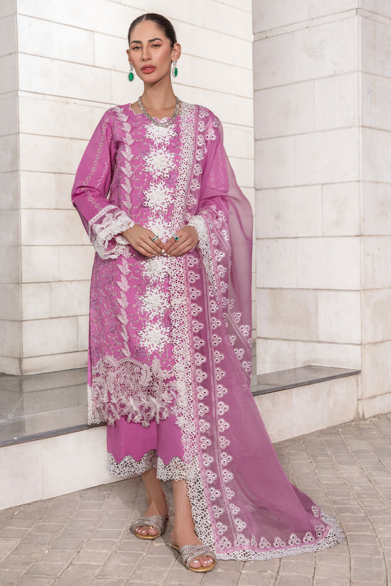 Liana | Rang Rasiya | Carnation Festive Edit 2023 – Ayat B Wardrobe