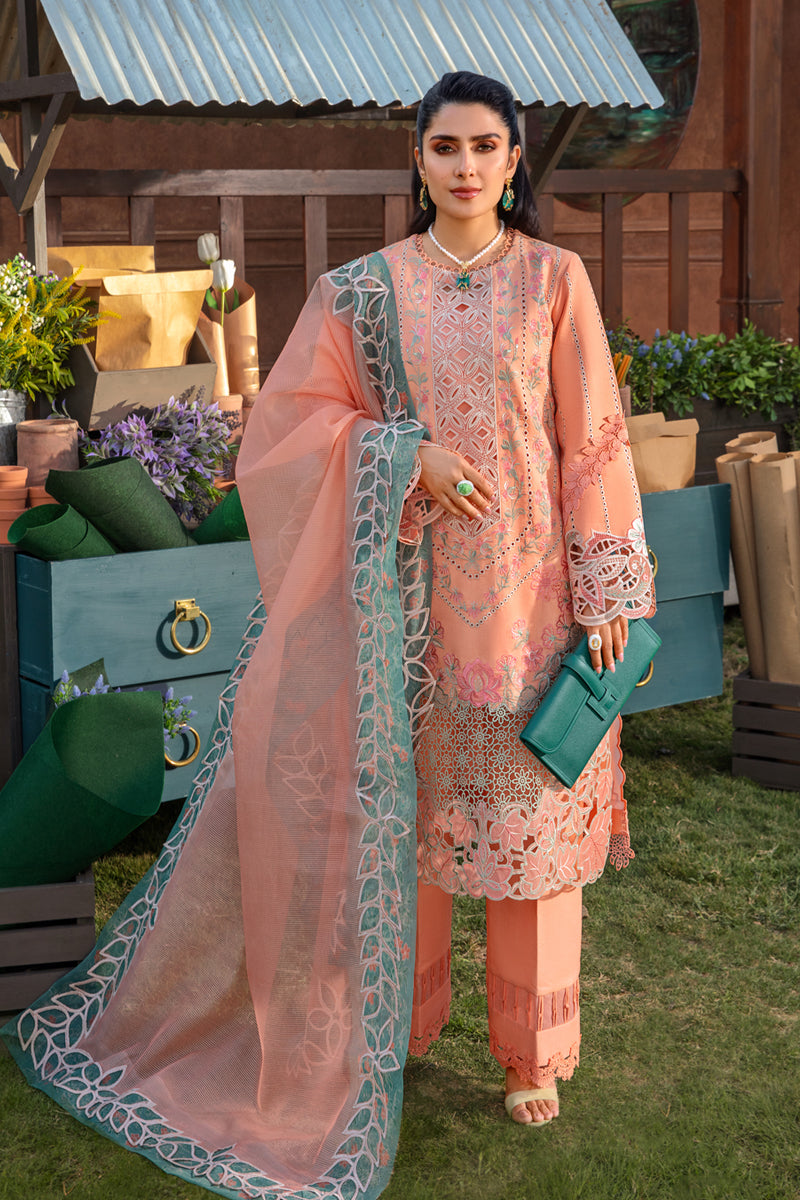 RANIA | Rang Rasiya | Premium Eid Collection 2024 – Ayat B Wardrobe