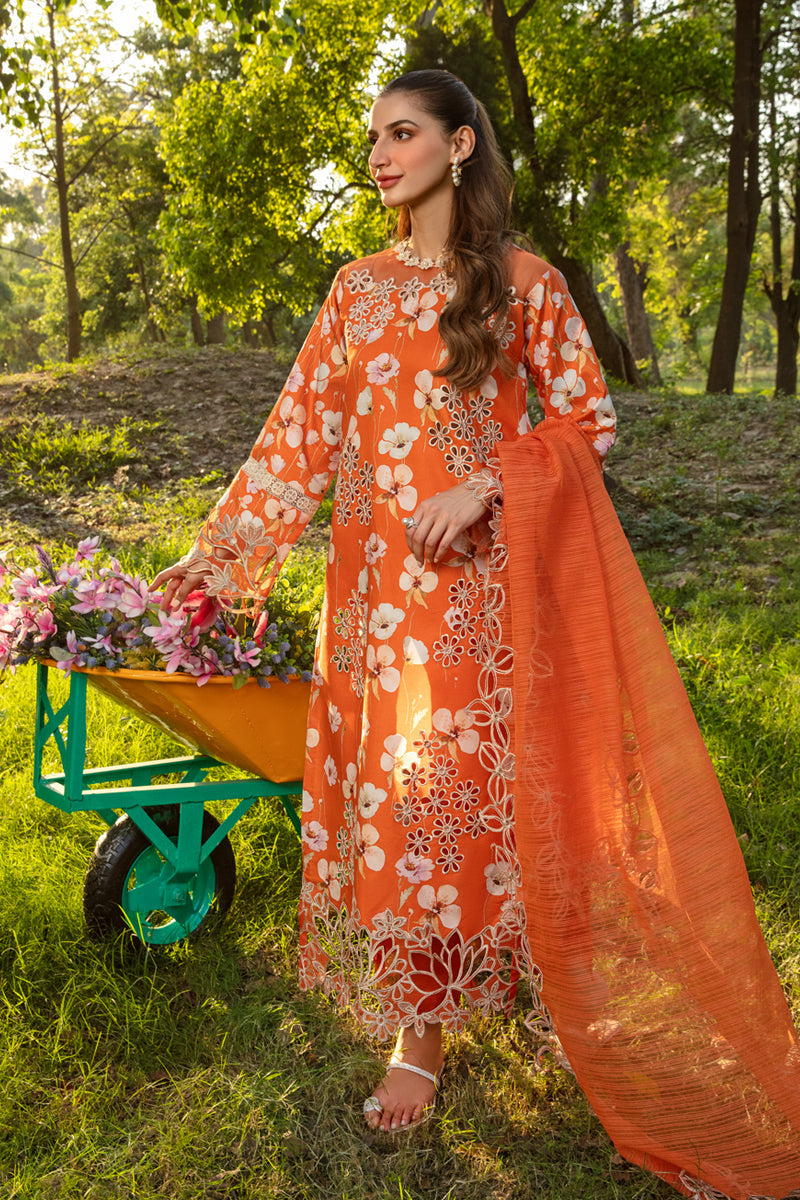 COCO | Rang Rasiya | Carnation Festive Edit 2024 – Ayat B Wardrobe
