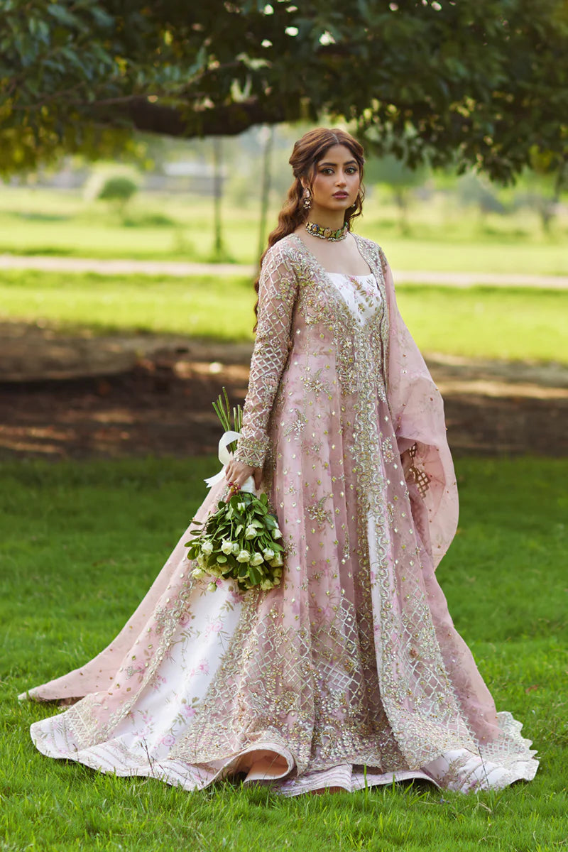 Saira SH-08 | Qalamkar | Shadmani Luxury Formals 2024 – Ayat B Wardrobe
