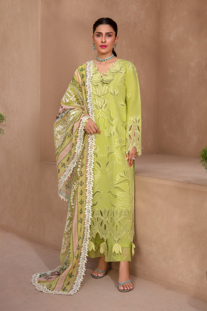 Lime | Rang Rasiya | Premium Eid Collection 2023 – Ayat B Wardrobe